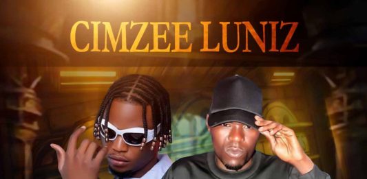 Vinchenzo | Zedhousezambia