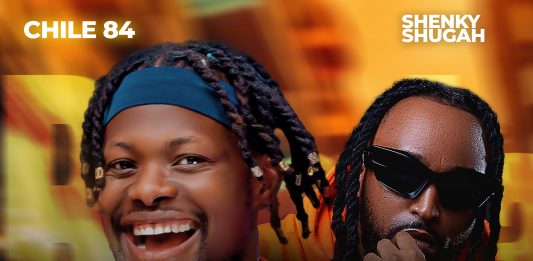 Shenky | Zedhousezambia