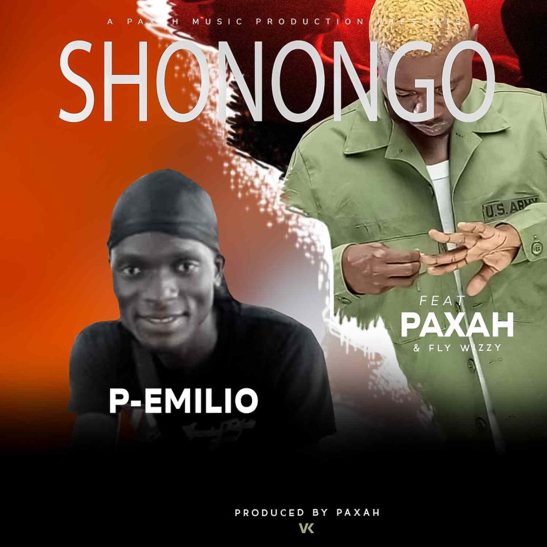 P Emilio ft Paxah x Fly Wizzy-Shonongo | Zedhousezambia
